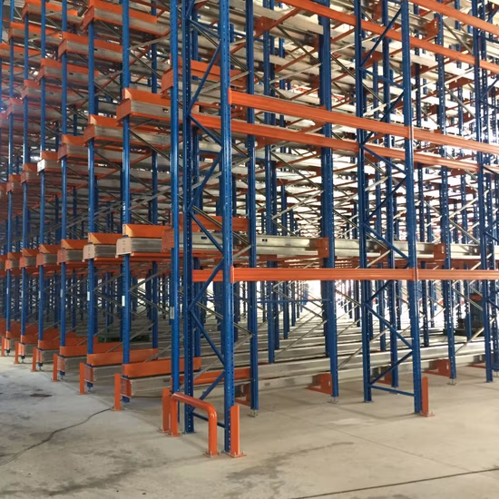 Automatic Radio Shuttle Rack System Shelving Rack | Flower Garden Co.,Ltd